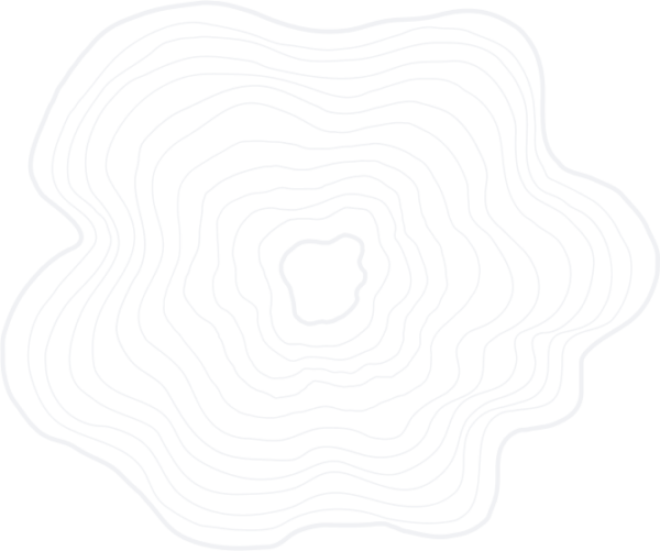 Allah Walay Dastarkhwan – Allah Walay Trust